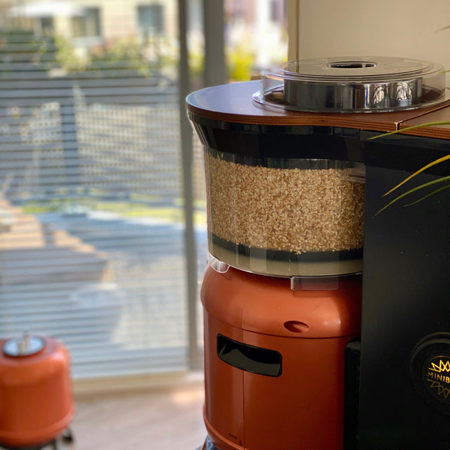 MiniBrew Craft Gen 3 | Home Brewing System with 1–3 Kegs